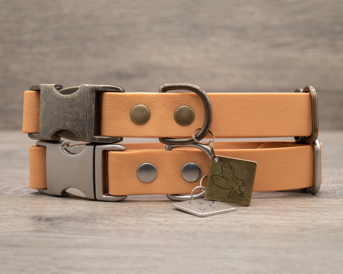 Aspen Quick Release Collar – Hoot & Co