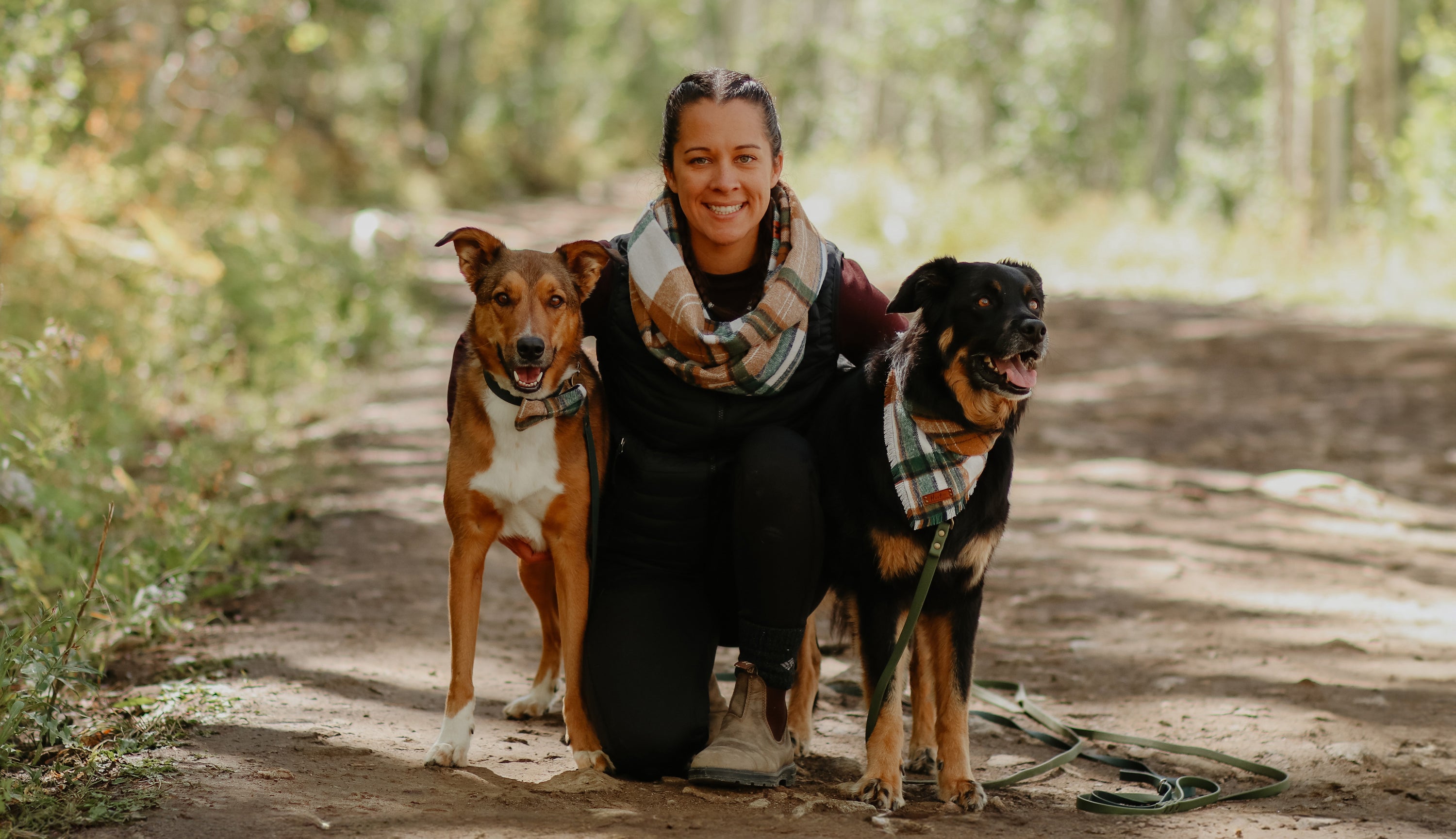 Pet Accessories Store - Dog Supplies Online | Hoot + Co – Hoot & Co