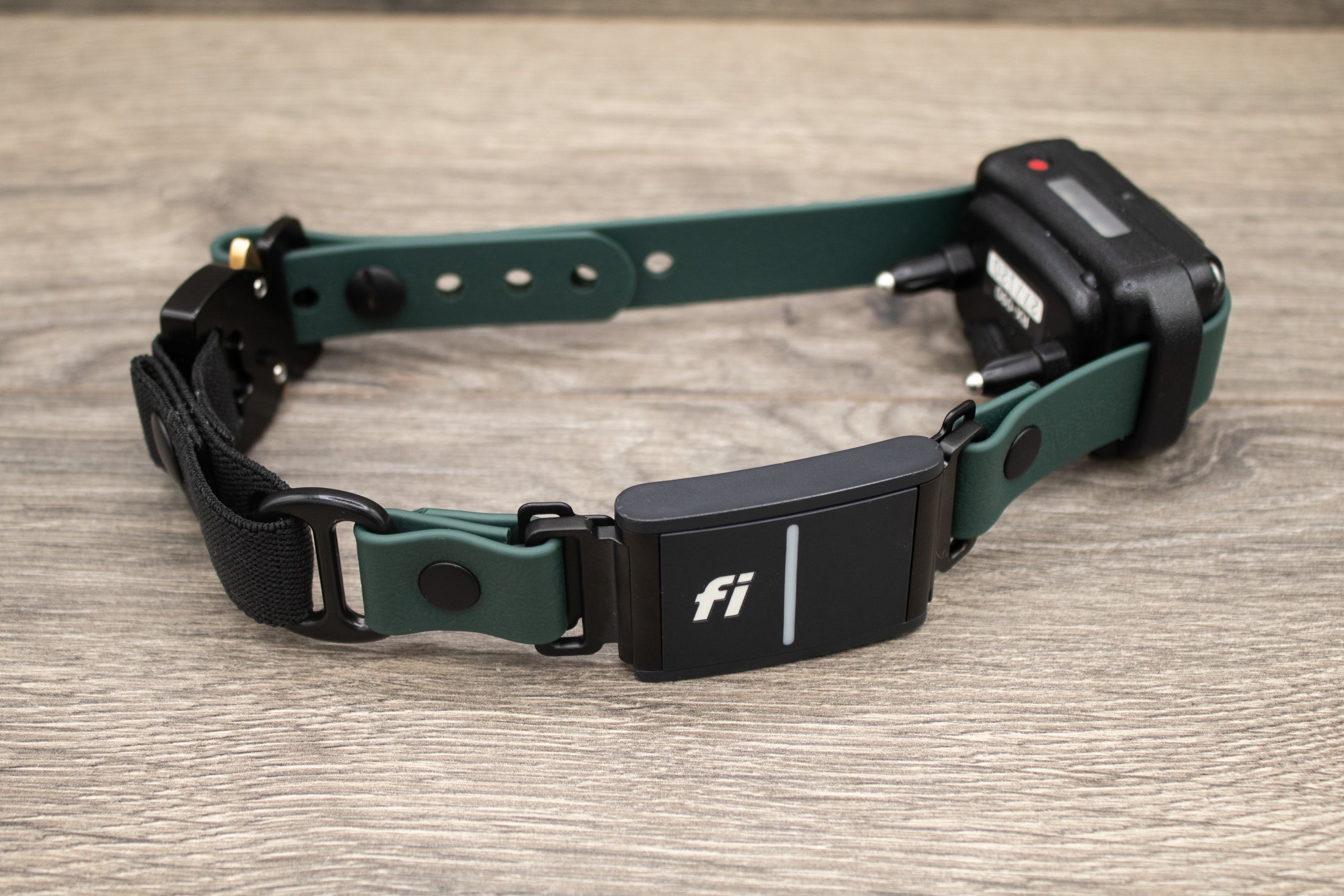 The Monarch Collar – Hoot & Co