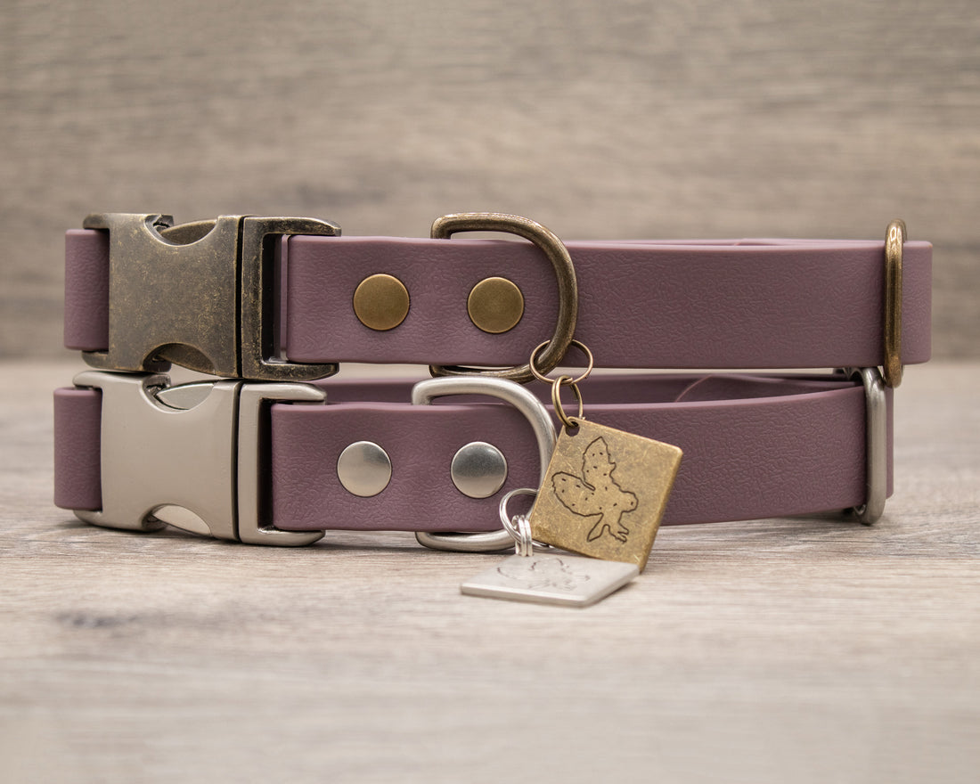 Quick Release Collars – Hoot & Co