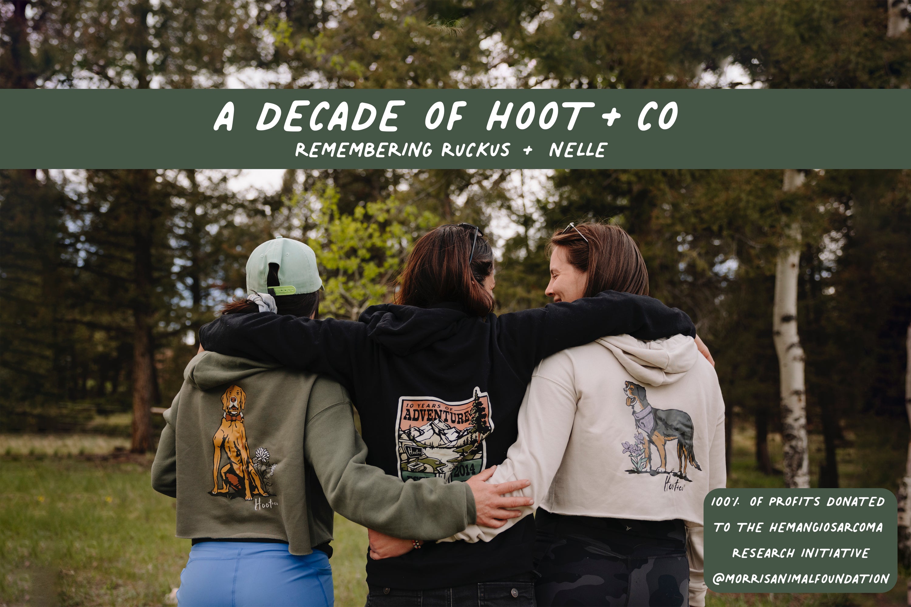 Pet Accessories Store - Dog Supplies Online | Hoot + Co – Hoot & Co