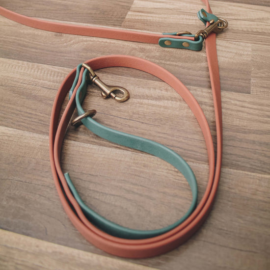 The Summit Dual Leash – Hoot & Co