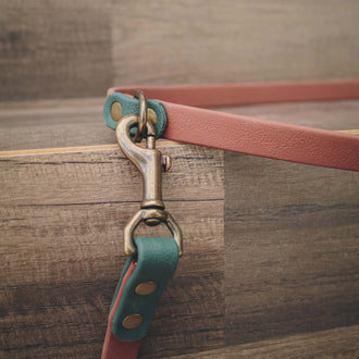 The Summit Dual Leash – Hoot & Co