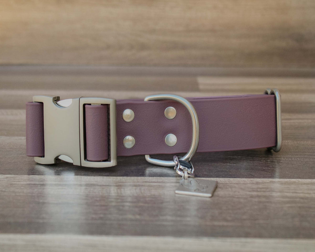 Quick Release Collars – Hoot & Co